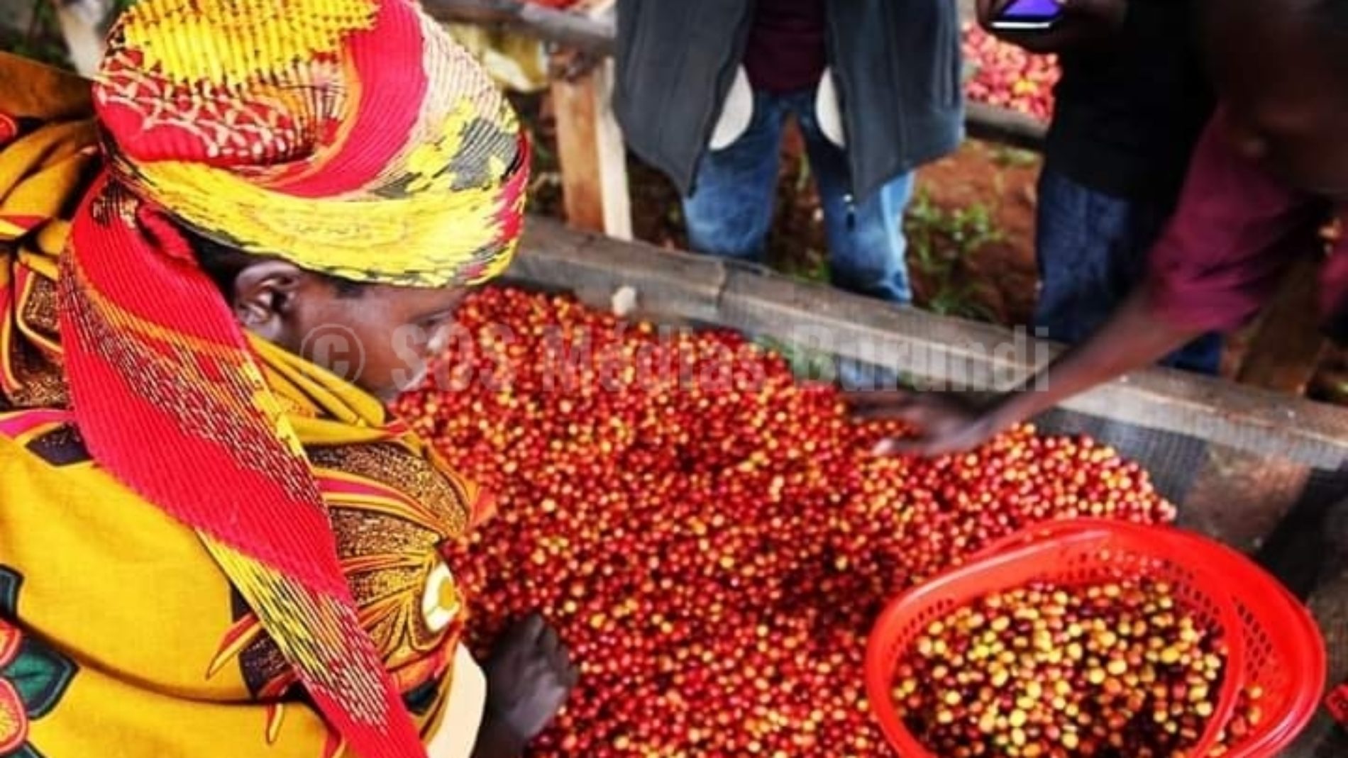 Burundi : Le gouvernement reprend en main le secteur-café après l’échec ...
